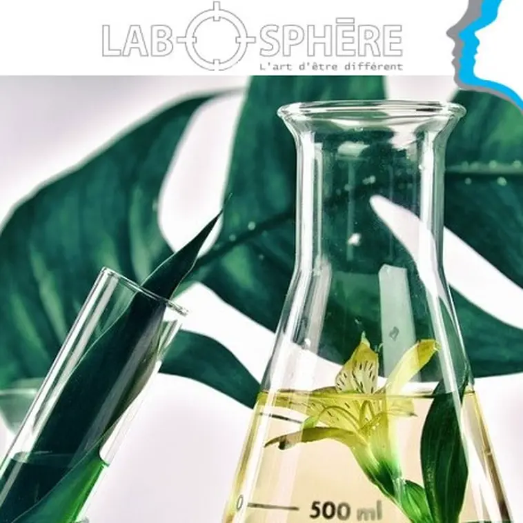 Natural cosmetics: the consumer's vision, the formulator's challenge ...