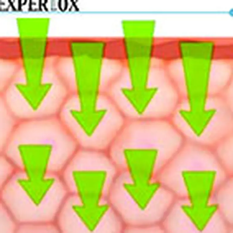 Methods for determining dermal absorption - CosmeticOBS-L'Observatoire ...