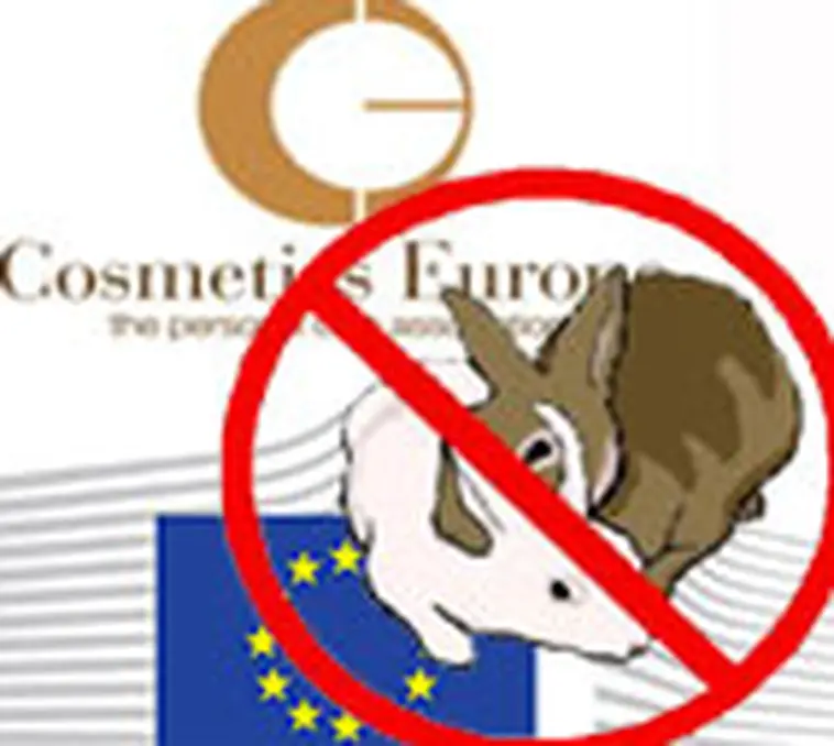 Animal testing in cosmetics: this is the end - CosmeticOBS-L ...