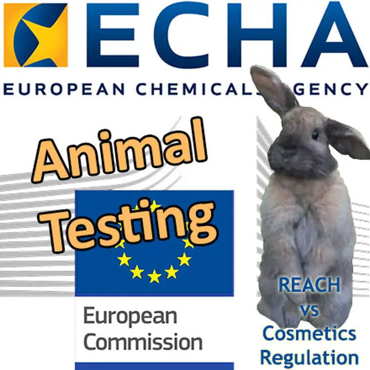 REACH: Animal tests justified for exclusively cosmetic ingredients ...