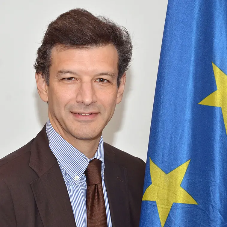 Salvatore D'Acunto or cosmetic exemplarity at the European Commission ...