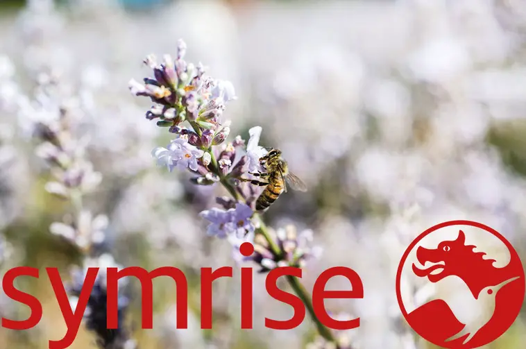 Symrise renforce sa division Fine Fragrance avec deux nouvelles ...