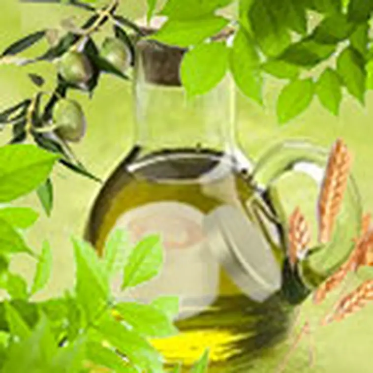 When cosmetics are immersed in… vegetable oil! - CosmeticOBS-L ...