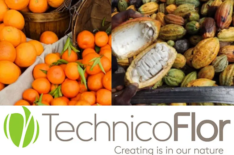 Technicoflor launches a collection of upcycled perfumes - Sector