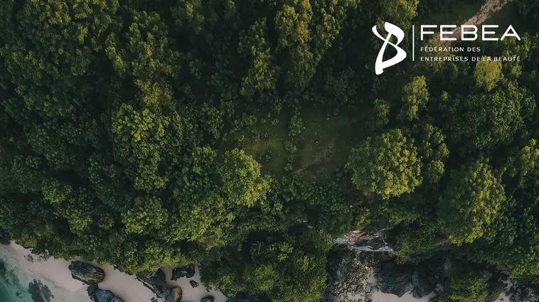 La FEBEA s'engage pour une filière plus responsable - Écoresponsabilité