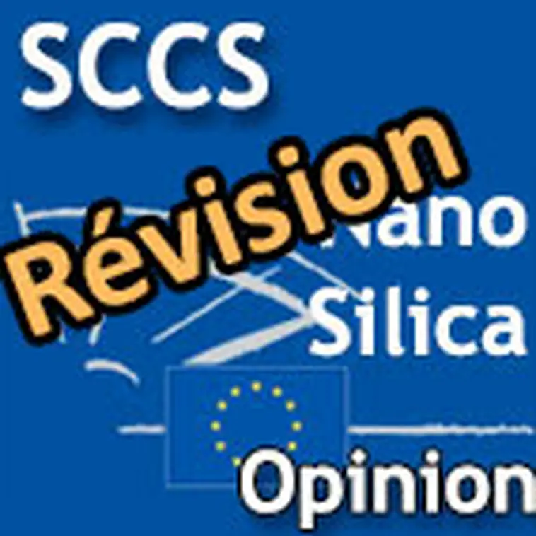 In brief: the SCCS revises its Opinion on nano silica - CosmeticOBS-L ...