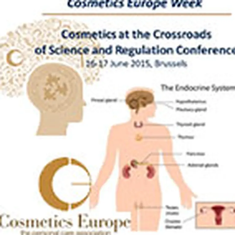Endocrine disruptors: how to assess their safety? - CosmeticOBS-L'Observatoire des Cosmétiques ...