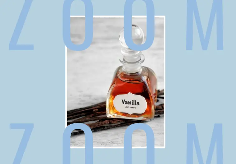 Perfumes: vanilla in the spotlight! - Products news