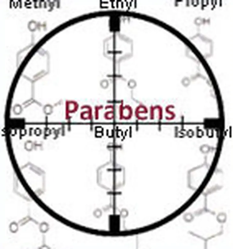 The French National Assembly, the lower assembly of the Parliament ...