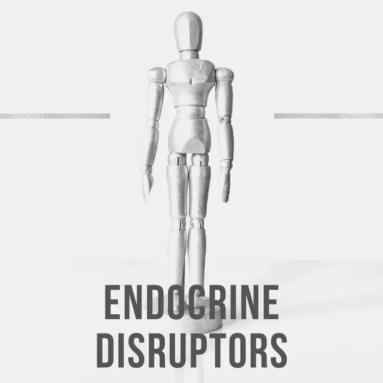 Endocrine disruptors: the dossier - Dossiers