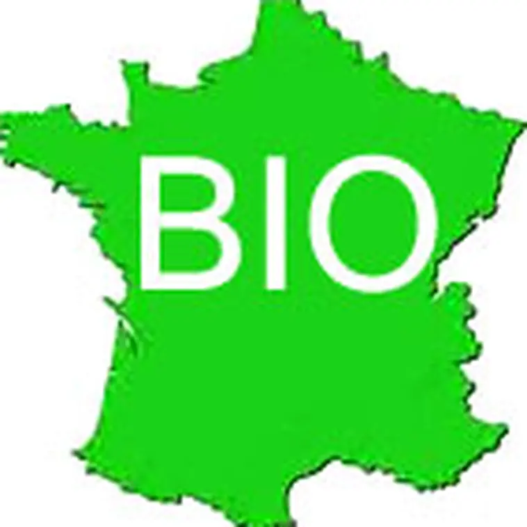 Le bio en France : 15 fiches corporate - L'Observatoire des Cosmétiques ...