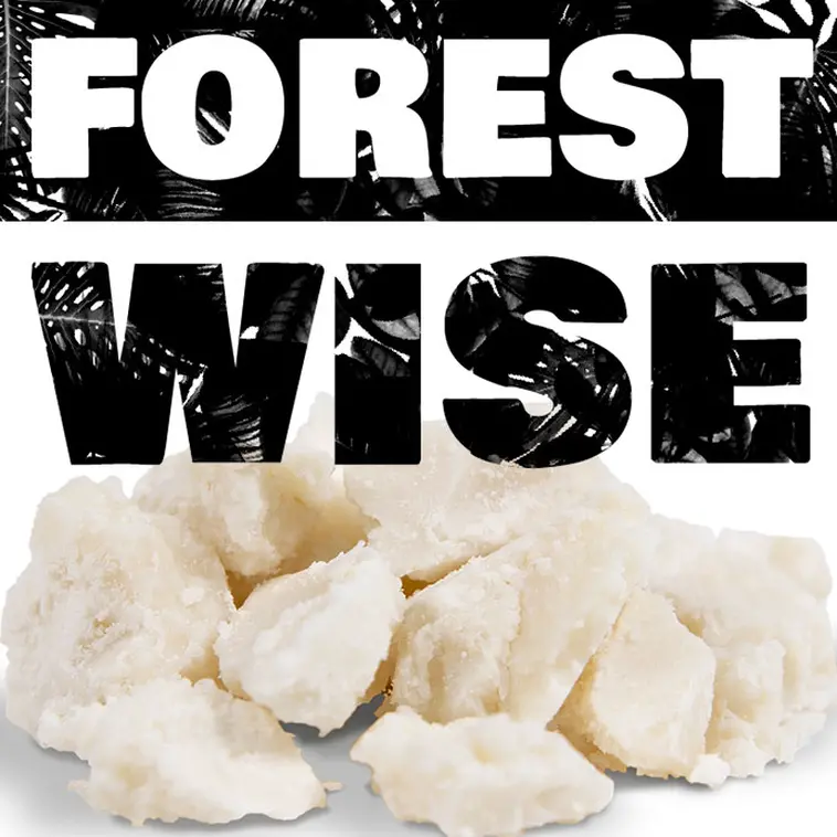 Illipe Butter: a low odour grade launched by Forestwise - Ingredients